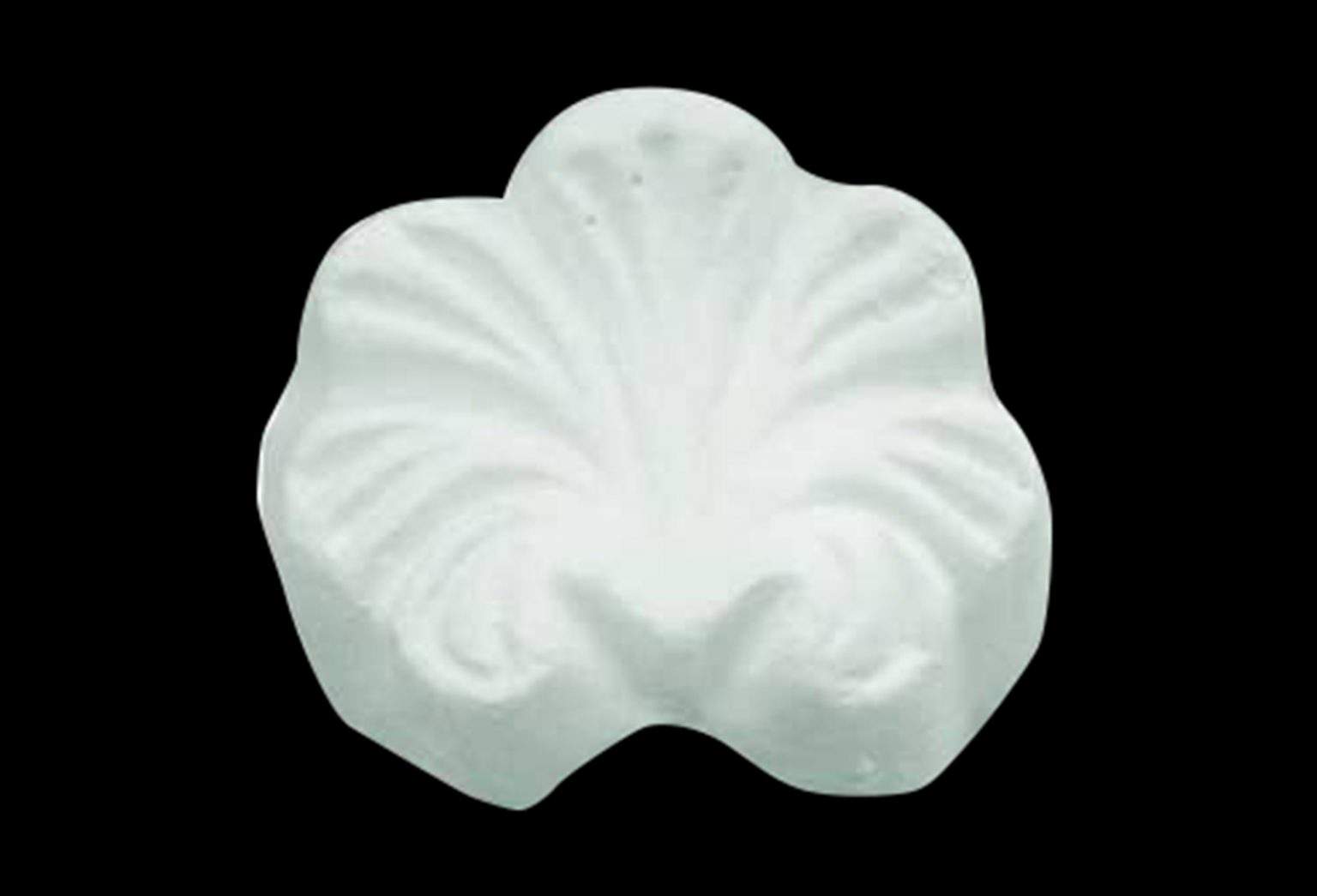 S02 – Lions Paw Shell – Classic Ceiling Supplies